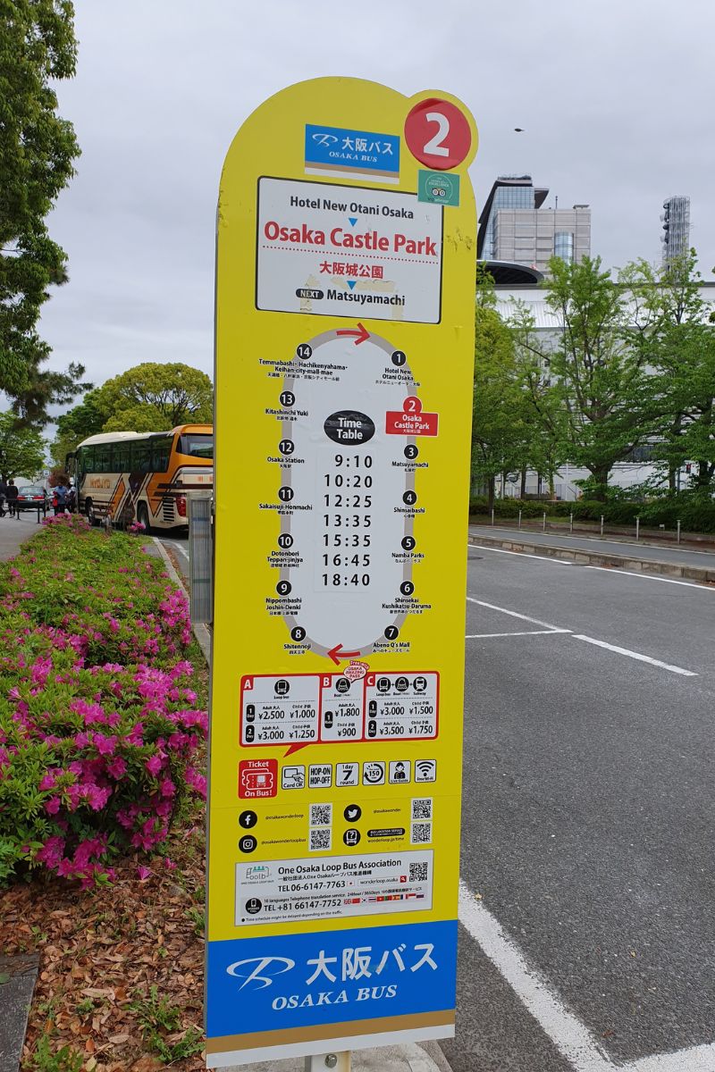 Do I Need to Know Japanese to Visit Japan? My Insights & Tips