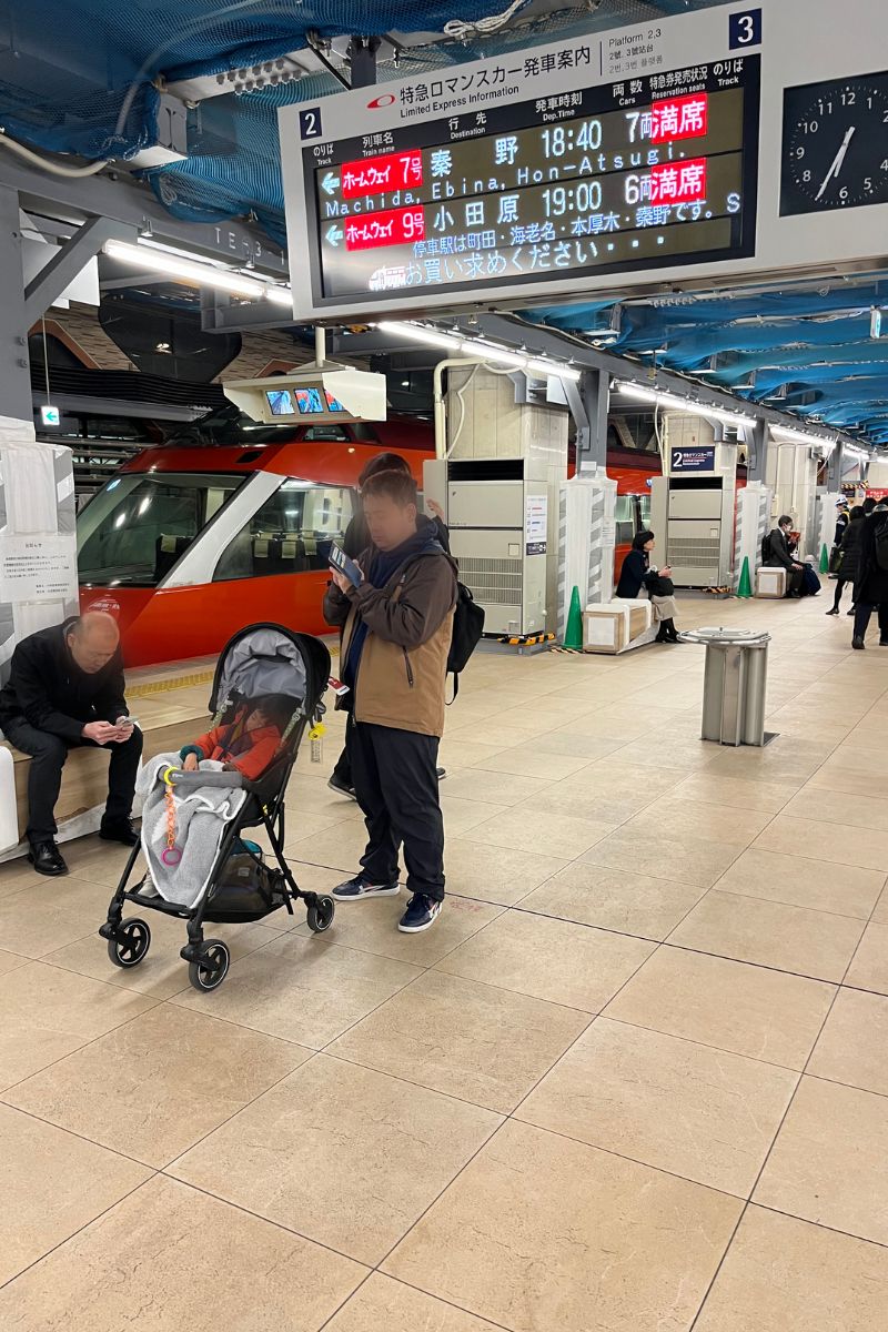 Reviewing the Odakyu Romancecar: Ride in Panoramic Comfort | Japan ...