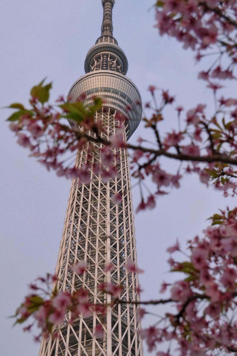 The Ultimate Tokyo Skytree Guide: Elevate your Tokyo Experience
