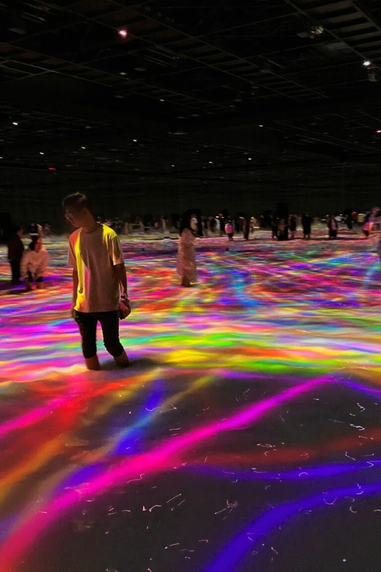 TeamLab Planets Tokyo: A Journey Through Digital Art and Sensory Wonders