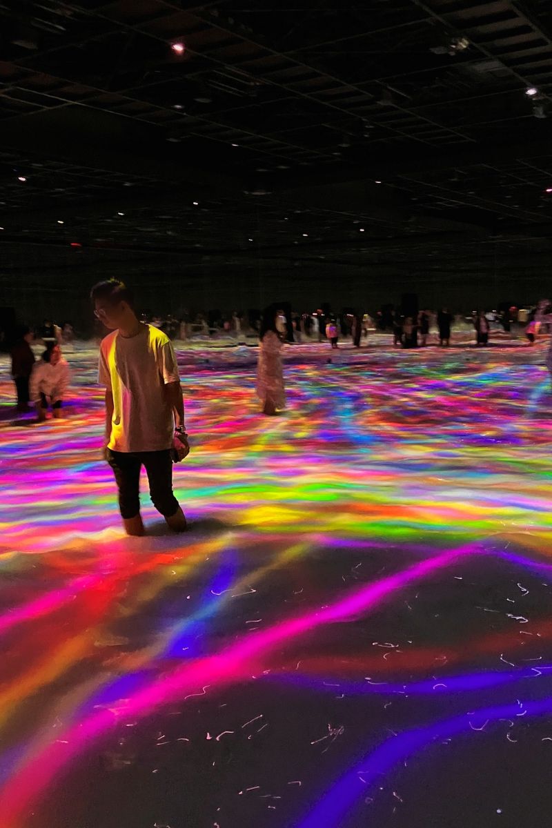 TeamLab Planets Tokyo: A Journey Through Digital Art and Sensory Wonders
