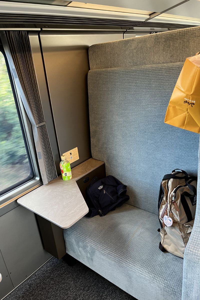 The New Spacia X: Travel from Tokyo to Nikko in Style | Japan Travel ...