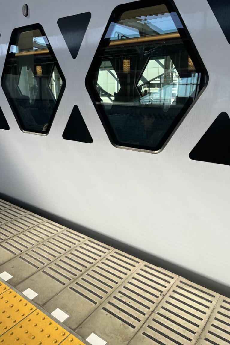 The New Spacia X: Travel from Tokyo to Nikko in Style