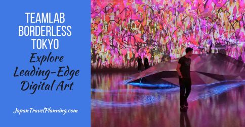 TeamLab Borderless Tokyo: Explore Leading-Edge Digital Art
