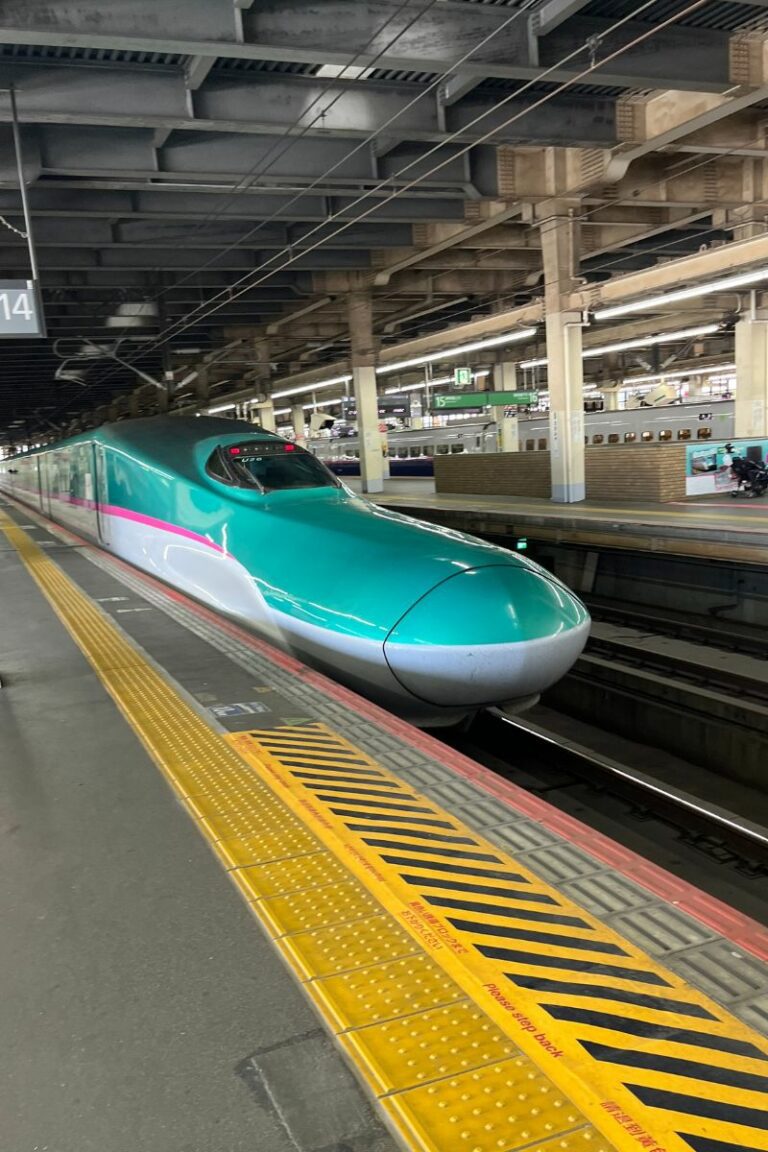 Japan's E5 Shinkansen: The Sleekest Thing On Rails