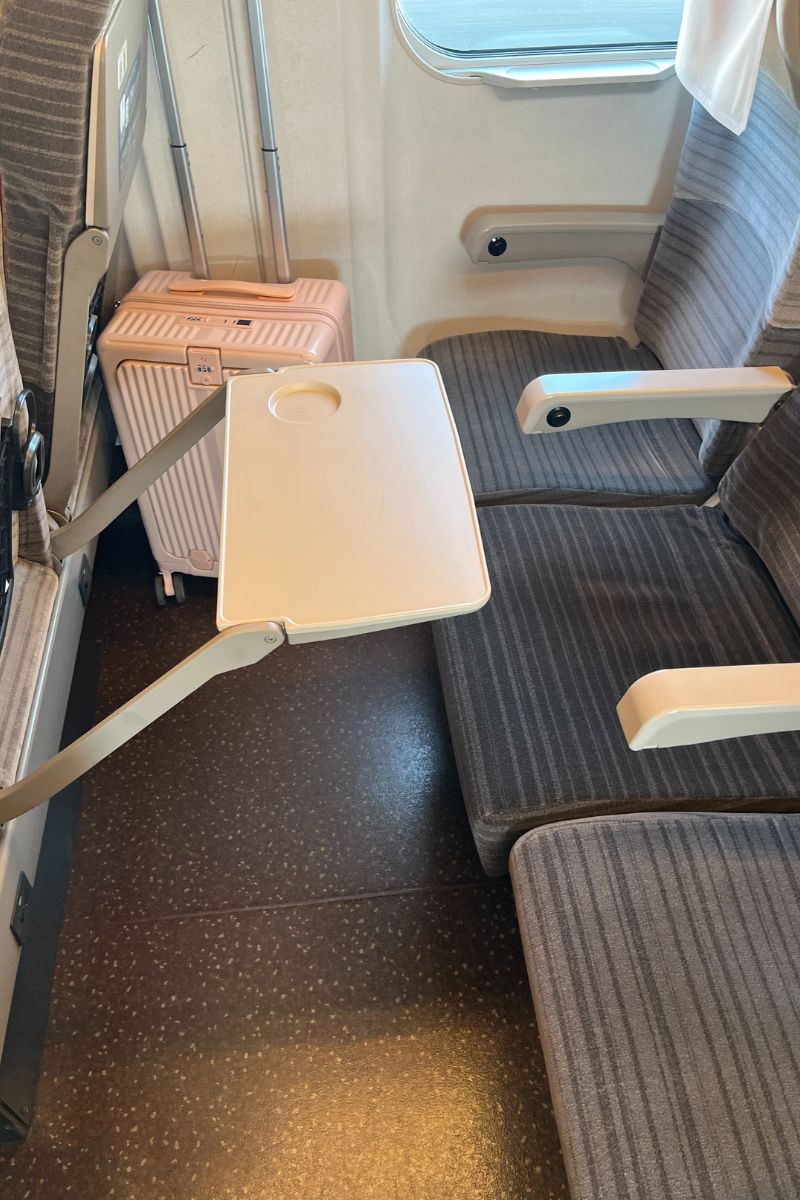 Japan's E5 Shinkansen: The Sleekest Thing On Rails