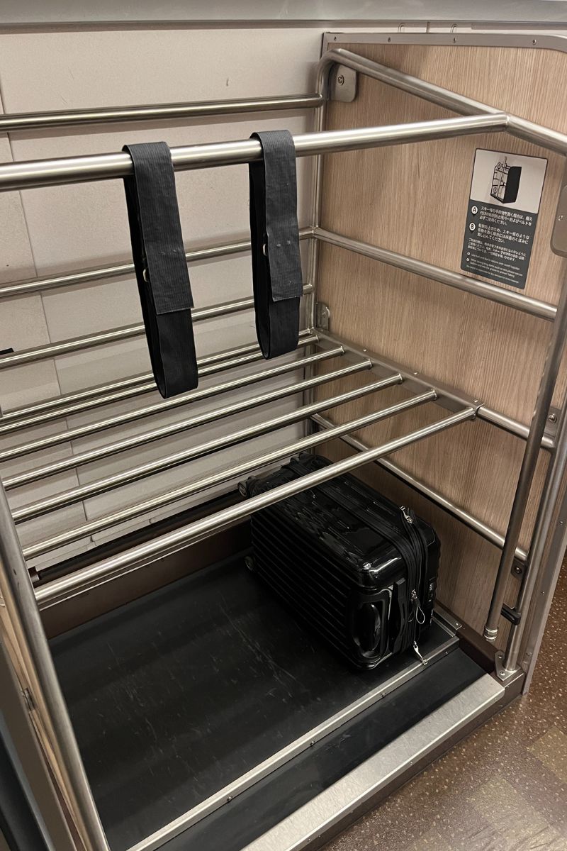 Japan's E5 Shinkansen: The Sleekest Thing On Rails