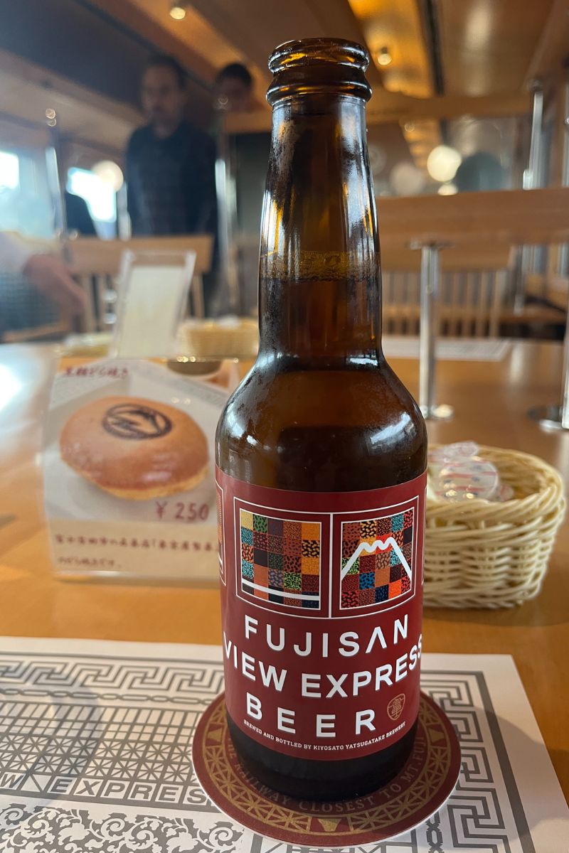 Fujisan View Express - The Best Way To See Mt Fuji On A Train