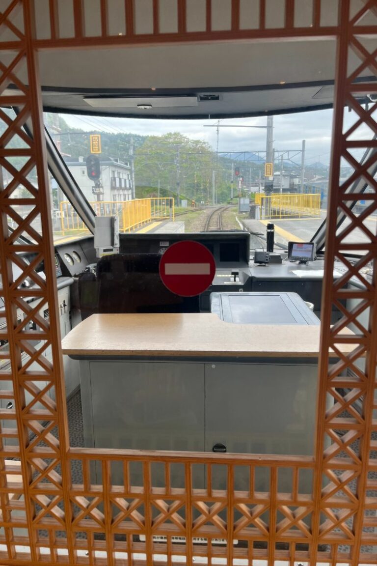 Fujisan View Express - The Best Way To See Mt Fuji On A Train