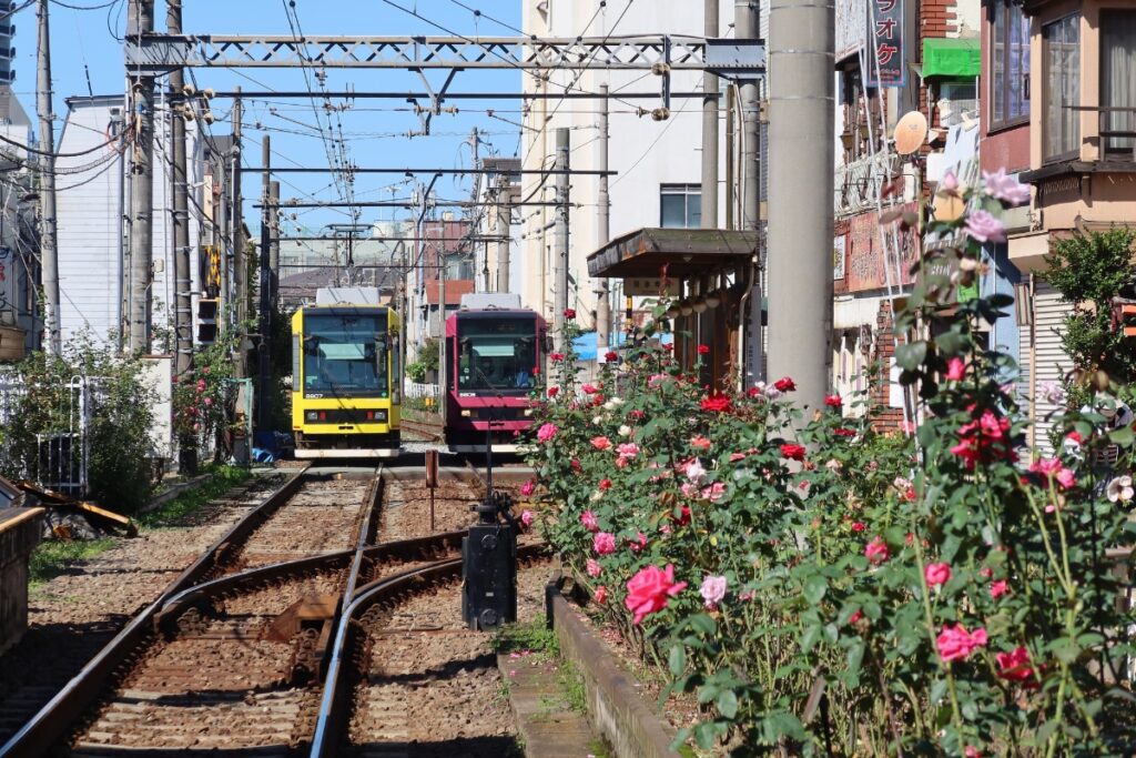 Tokyo Sakura Tram: Explore Off The Beaten Path Neighborhoods | Japan ...