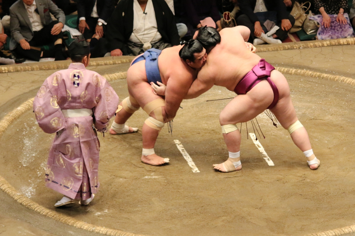 What Do Sumo Wrestlers Wear: From Tournaments to Training