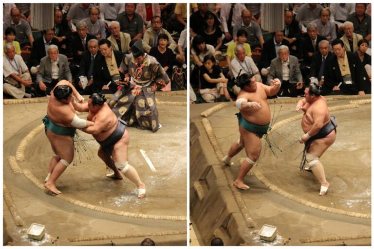 Sumo Techniques: The Most Common, Most Rare, & Most Brutal