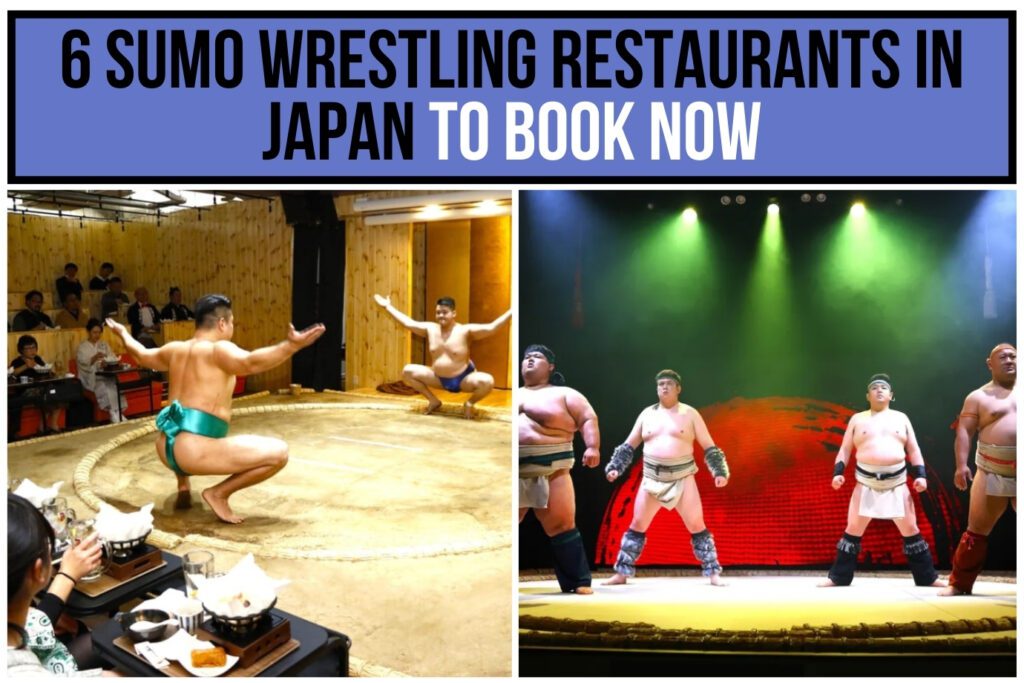 The Diet of Sumo Wrestlers: Myths, Facts & What They Eat