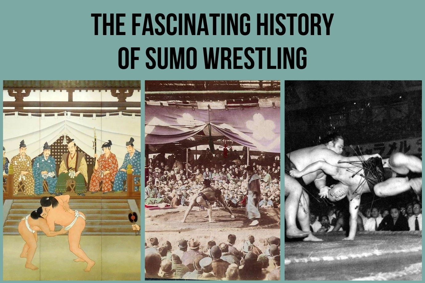 5 Ways to Experience Sumo Wrestling in Tokyo [2025]