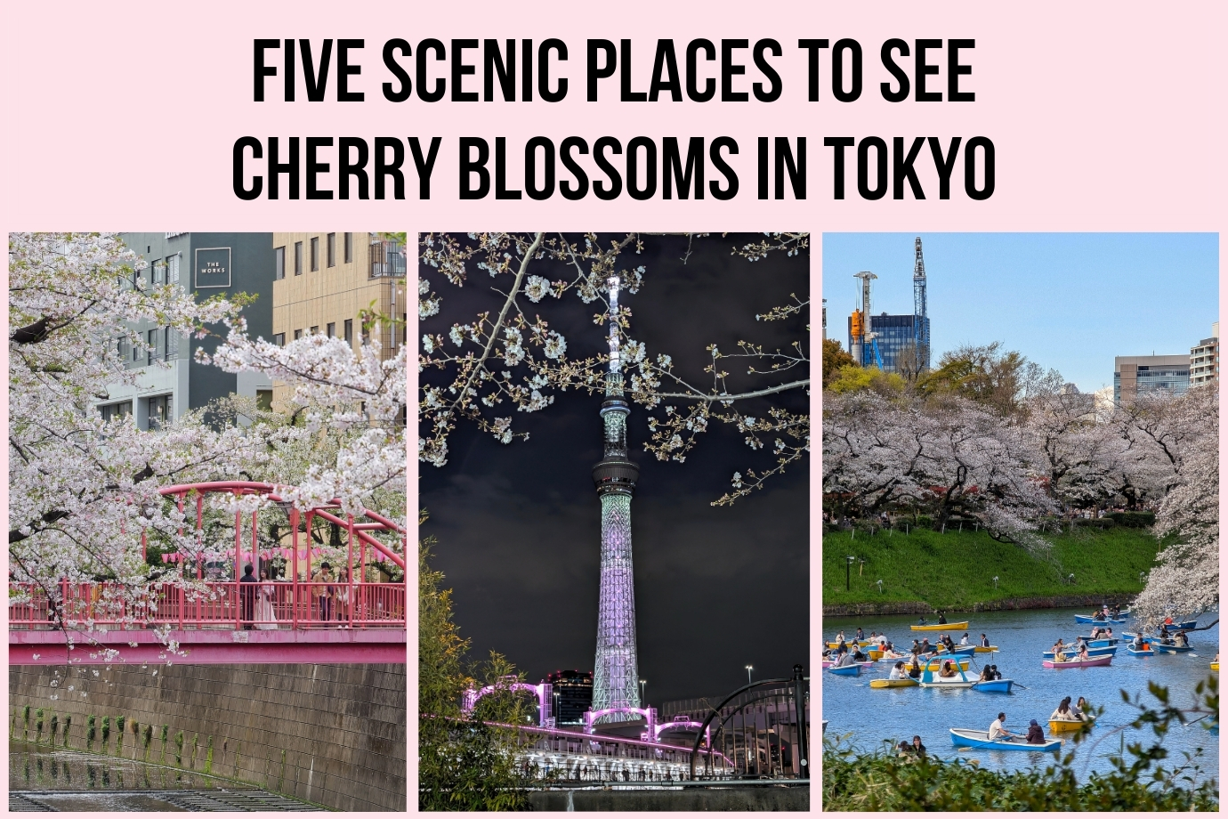 Small Worlds Tokyo: A Miniature Journey Through Japan's Wonders